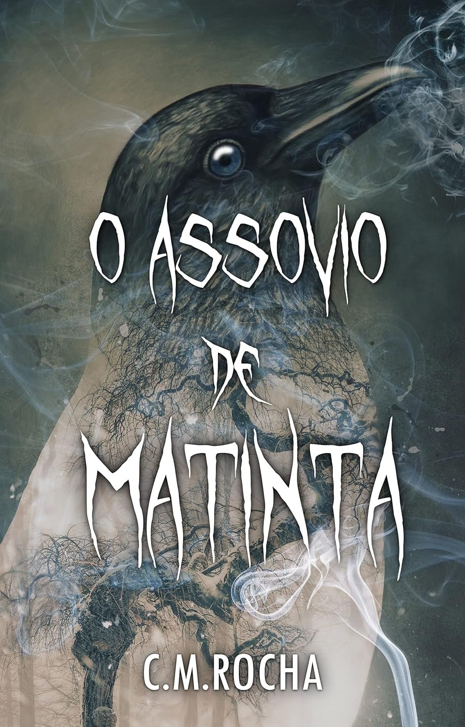 O Assovio De Matinta – Livro Resumo